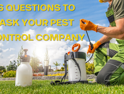 Hilton Head Island Pest Control | Hilton Head Exterminators